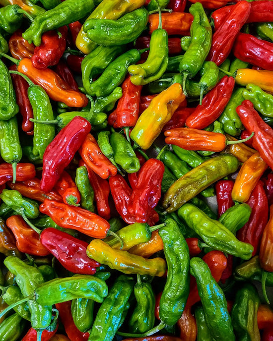 Vermont Pepper Project